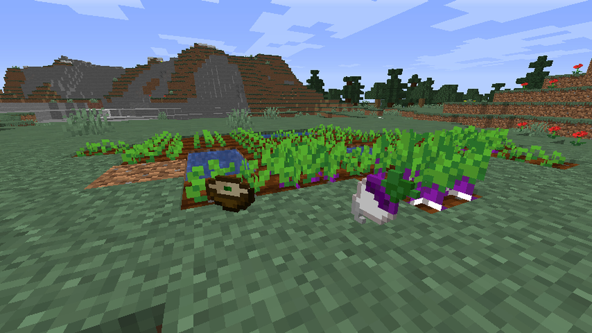 Turnip Craft Minecraft Texture Pack