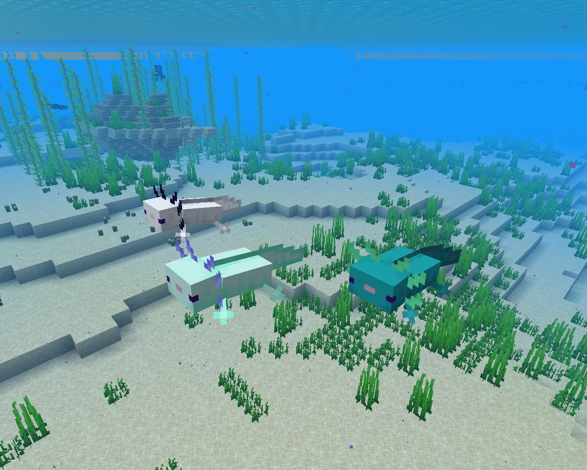 Variated Axolotls Minecraft Texture Pack