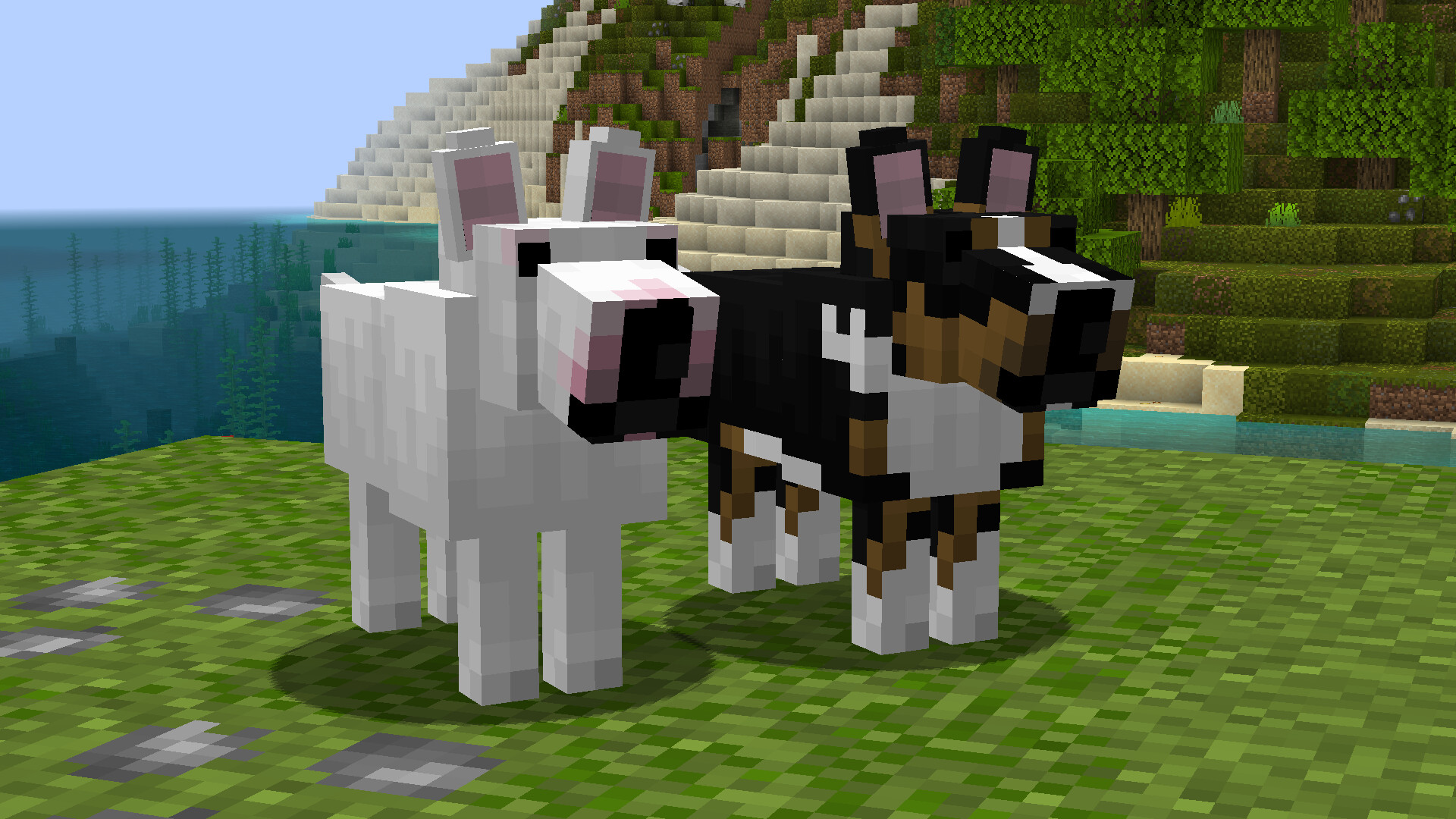Bull terriers (Better Dogs) Minecraft Texture Pack