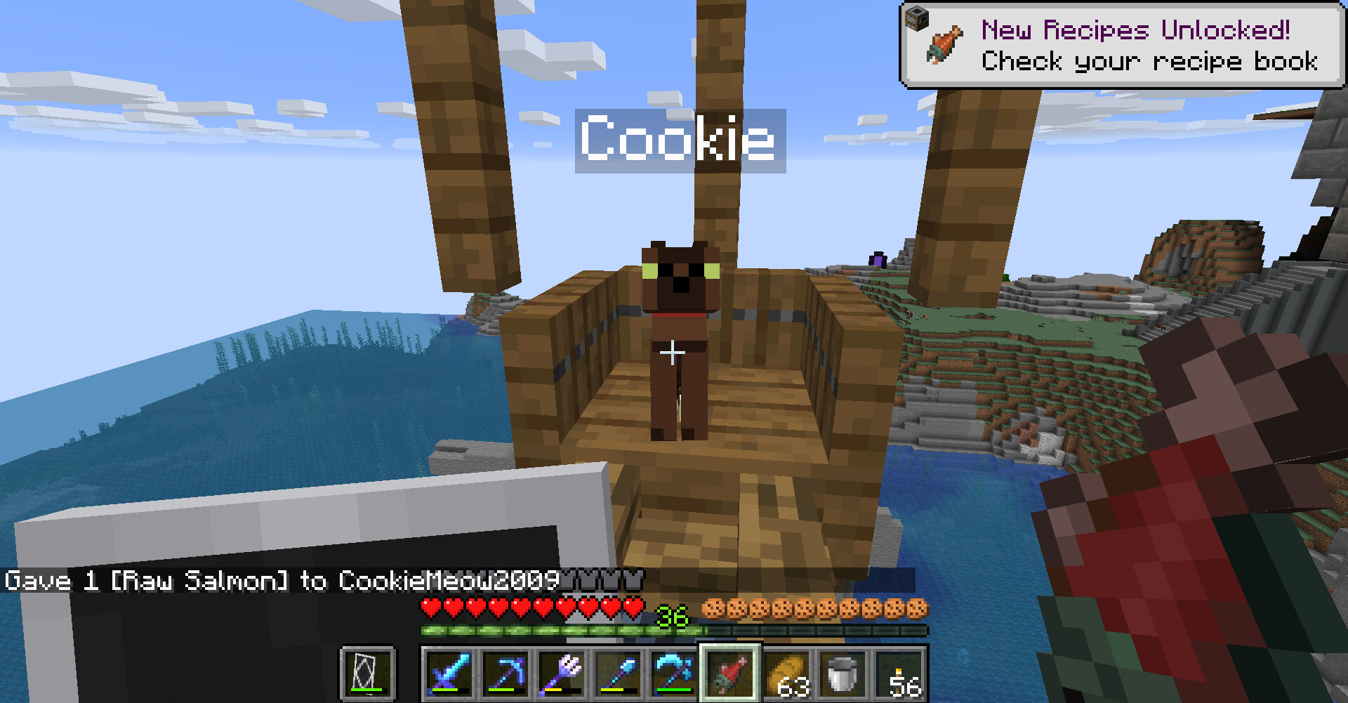 All of my IRL Cats In Minecraft Minecraft Texture Pack