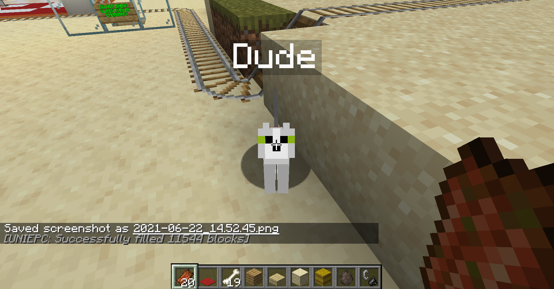 All of my IRL Cats In Minecraft Minecraft Texture Pack