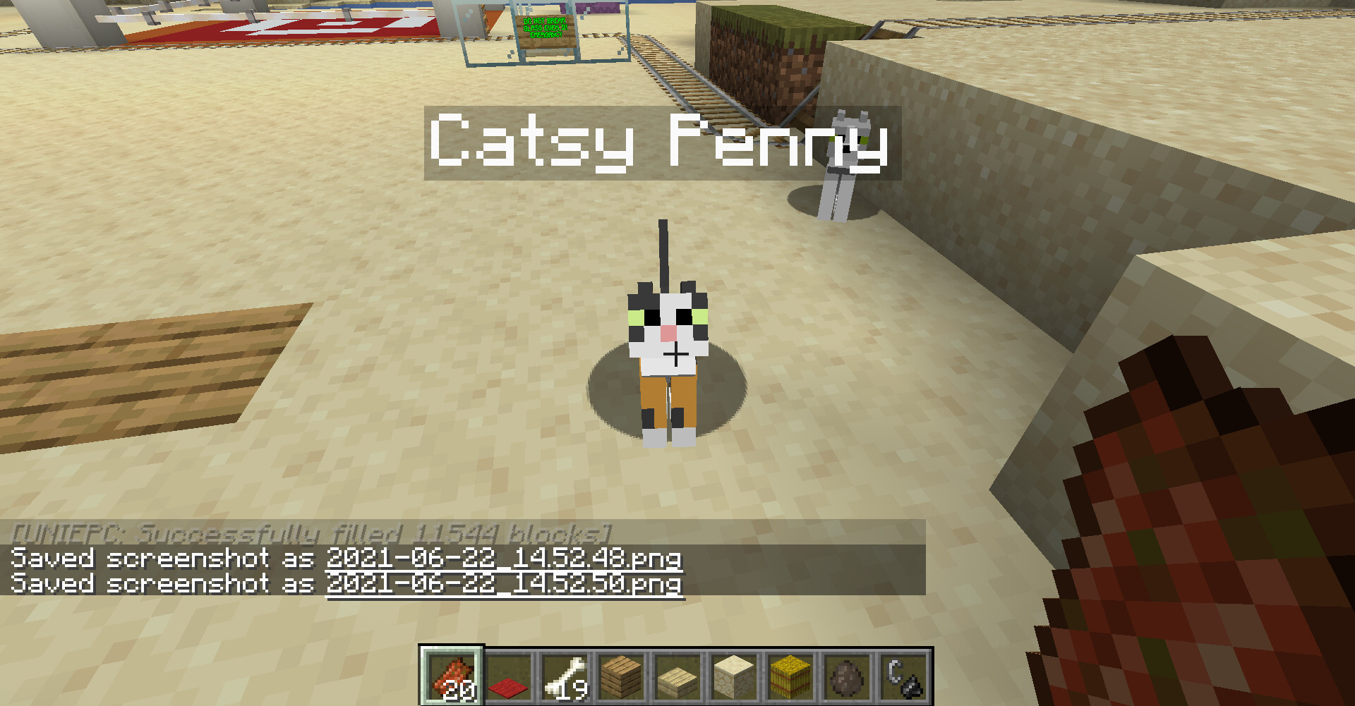 All of my IRL Cats In Minecraft Minecraft Texture Pack