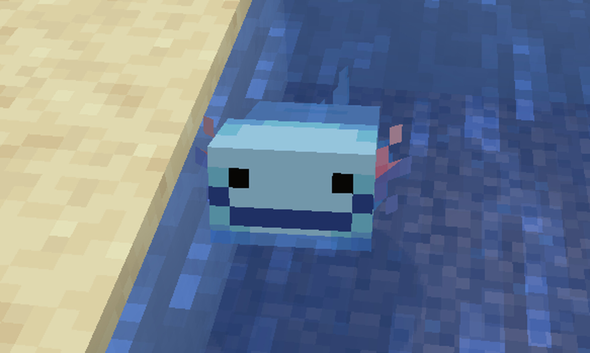 Wooper Axolotls! Now with Paldean Variant! Minecraft Texture Pack