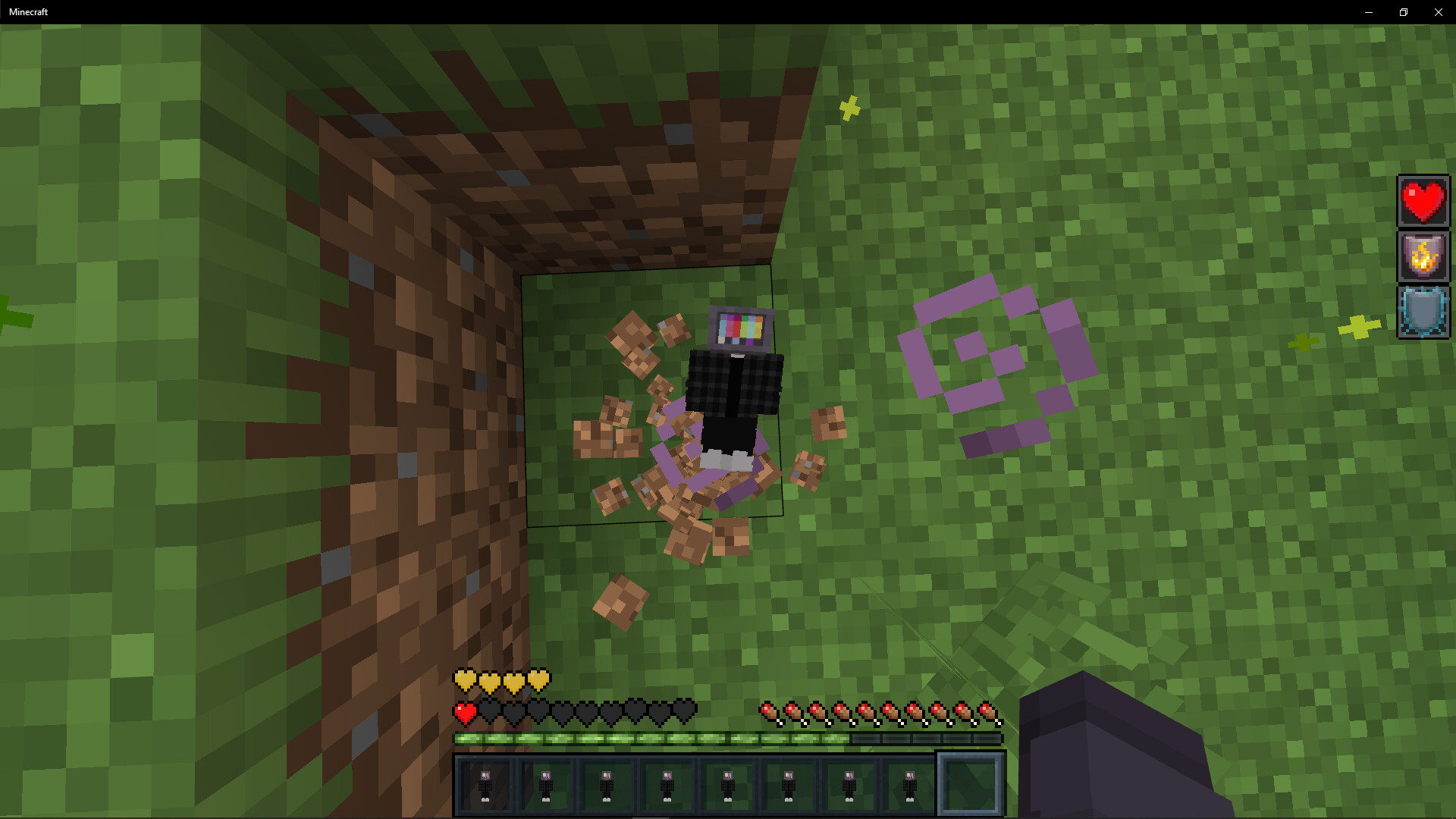 Little c Totem (Bedrock) Minecraft Texture Pack