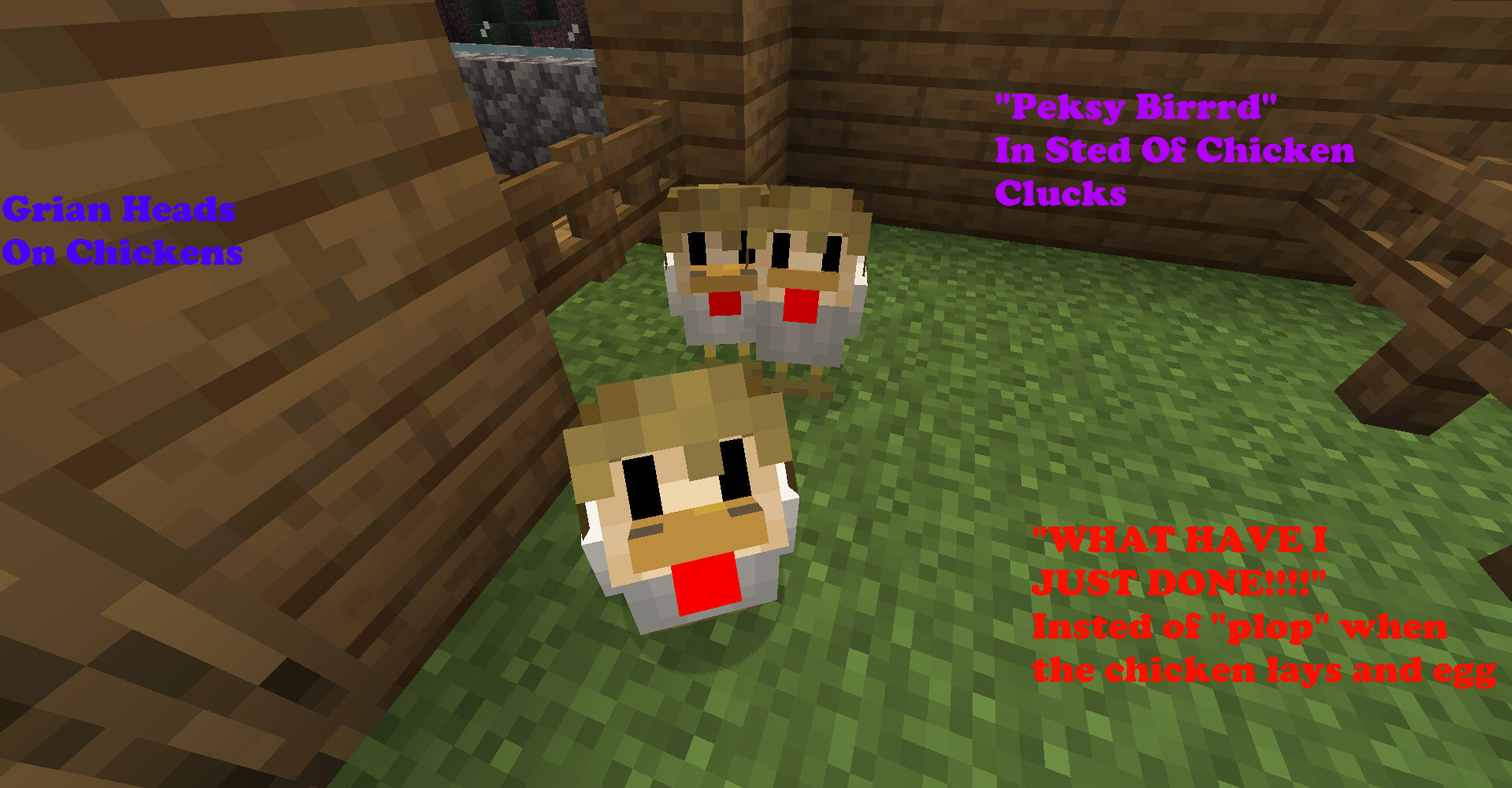 grian chicken (sounds) Minecraft Texture Pack