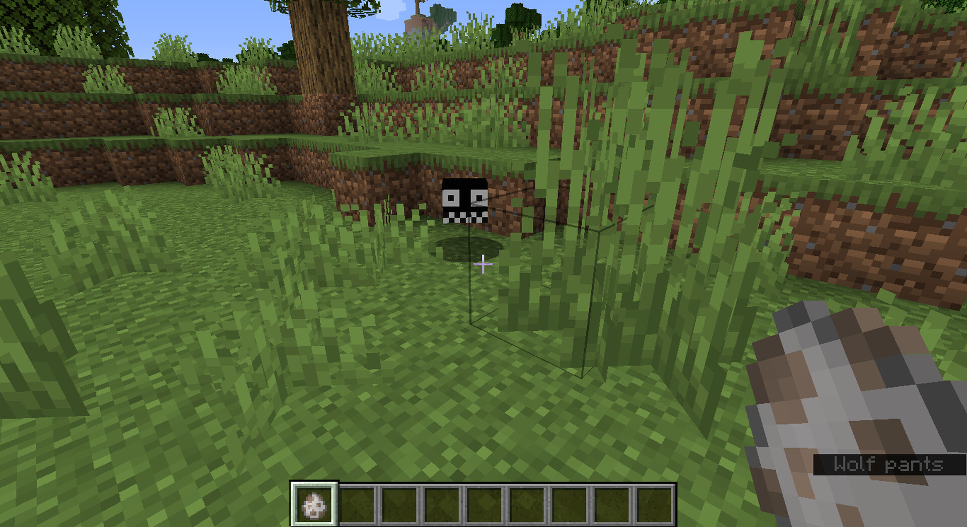 Chain Chomp Doggo Minecraft Texture Pack