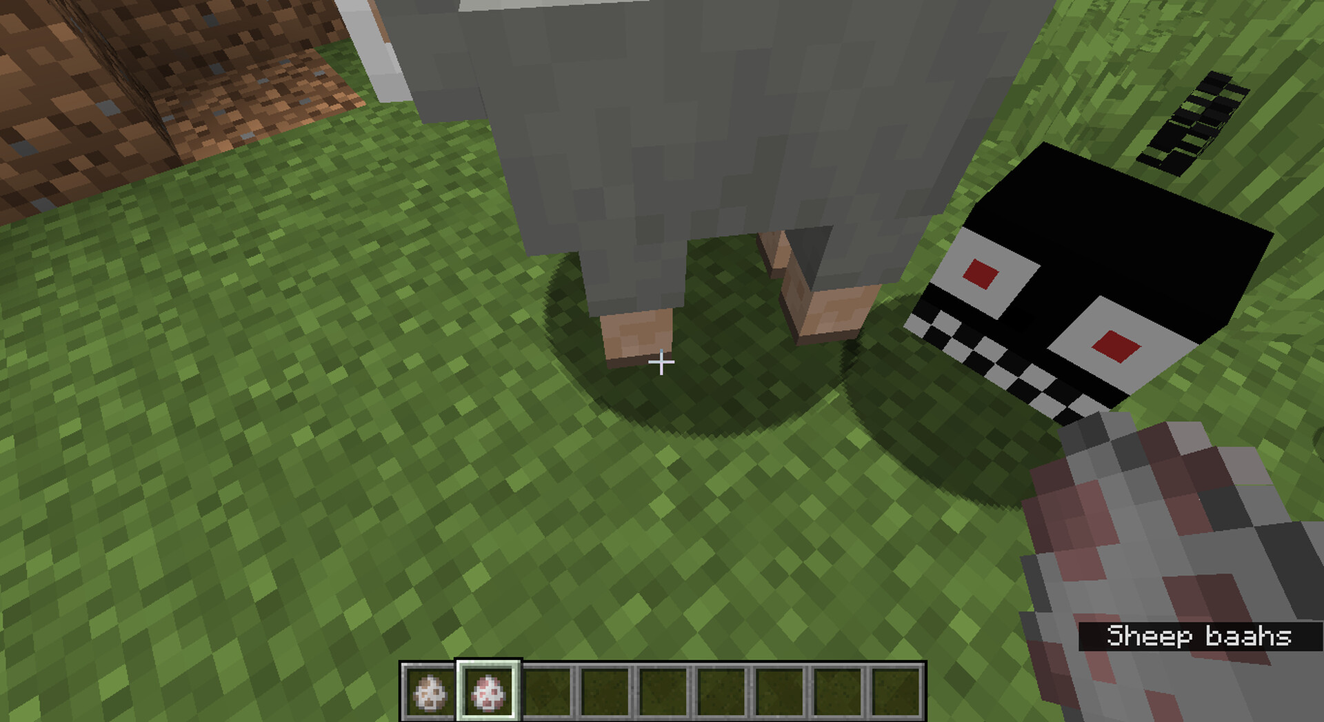 Chain Chomp Doggo Minecraft Texture Pack