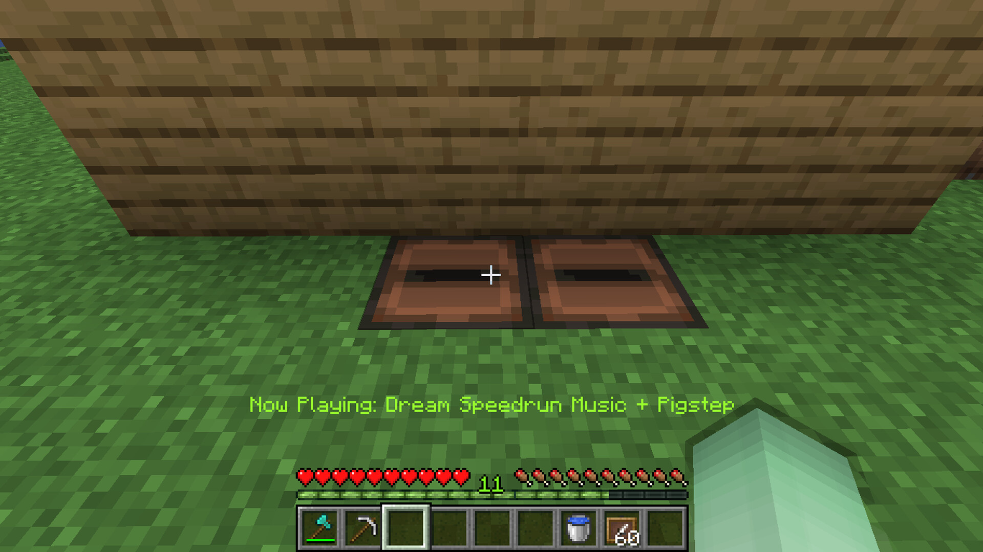 Speedrun Music + Pigstep Mashup replace Disk 11 Minecraft Texture Pack