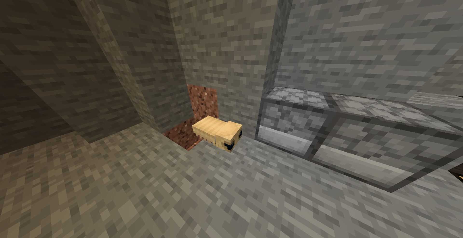 Isopods instead of axolotls!! Minecraft Texture Pack
