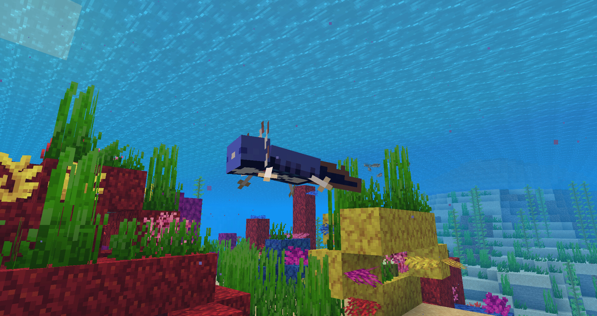 Holo Axolotl (require Optifine) - Blue version Minecraft Texture Pack