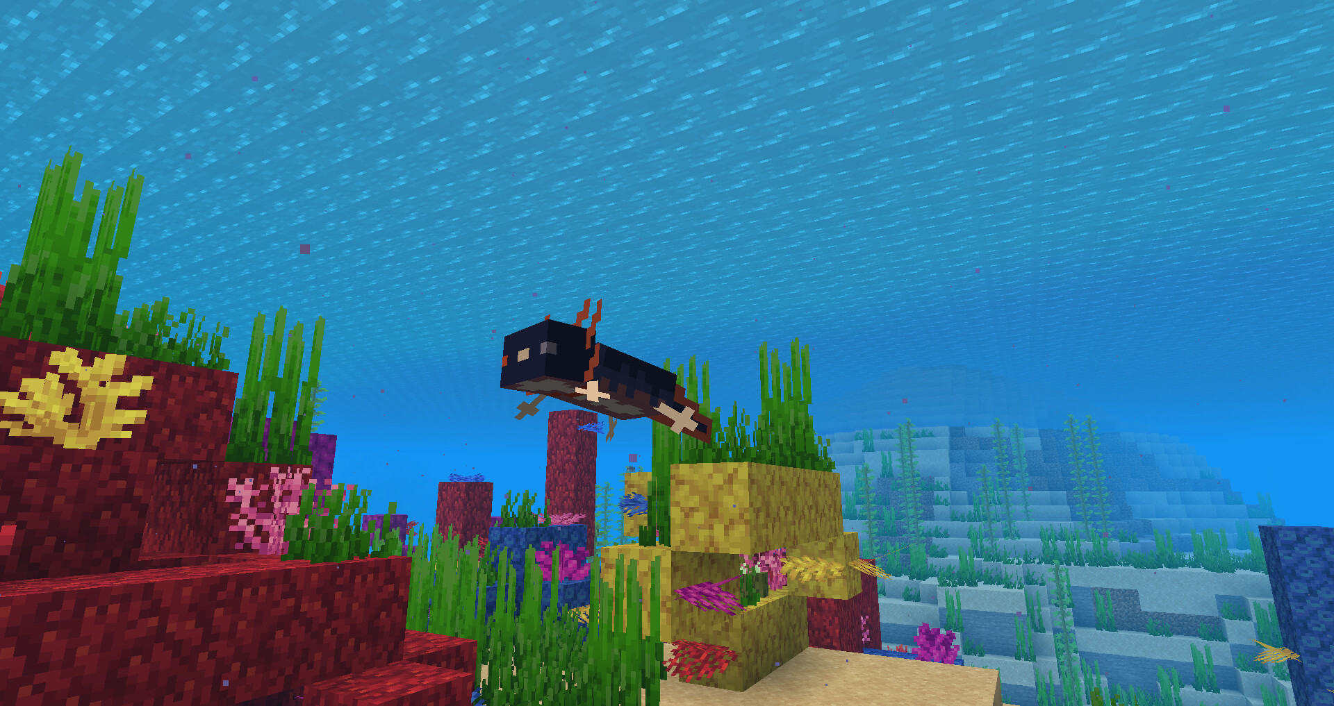 Holo Axolotl (require Optifine) - Blue version Minecraft Texture Pack
