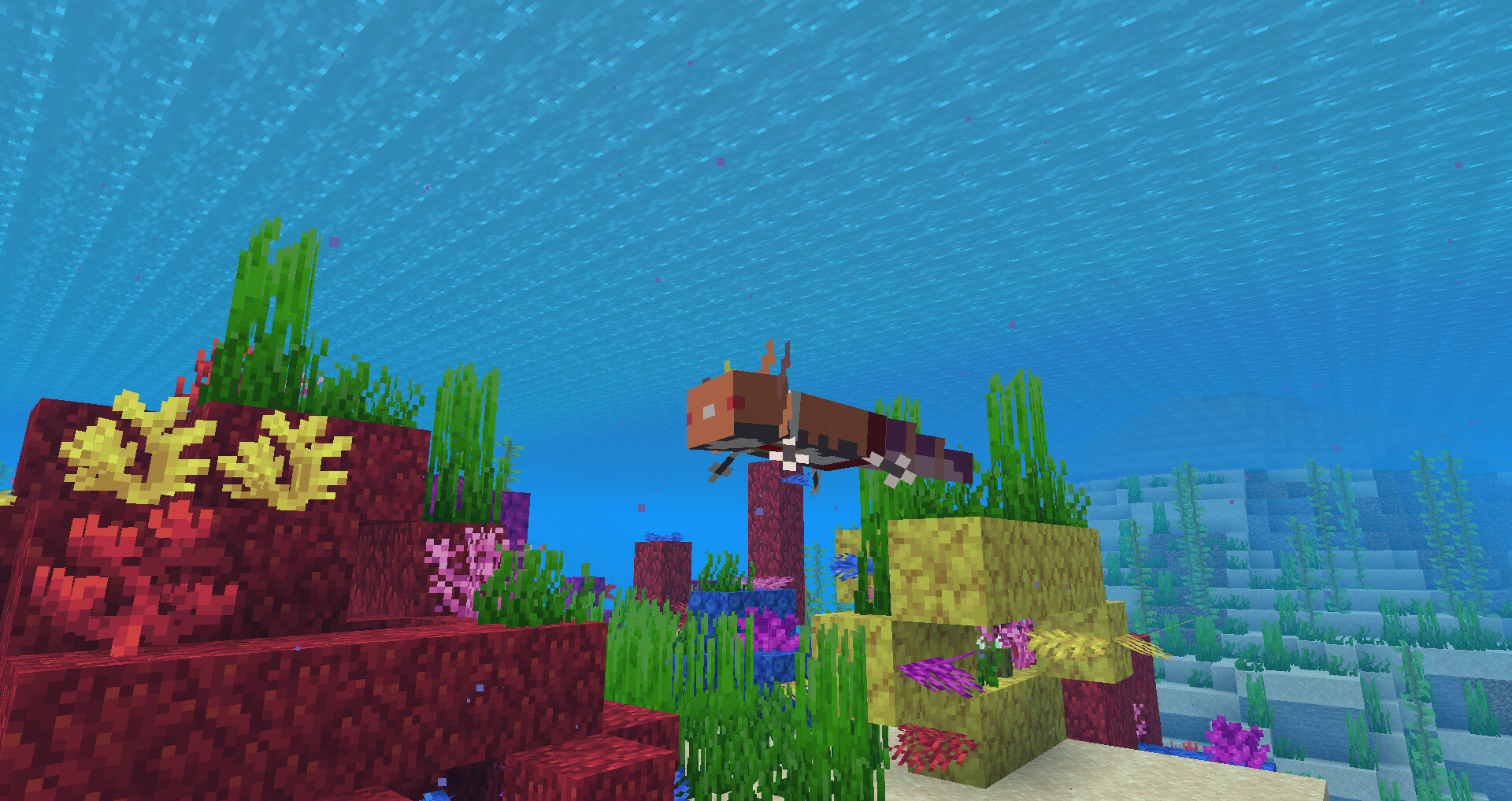 Holo Axolotl (require Optifine) - Blue version Minecraft Texture Pack
