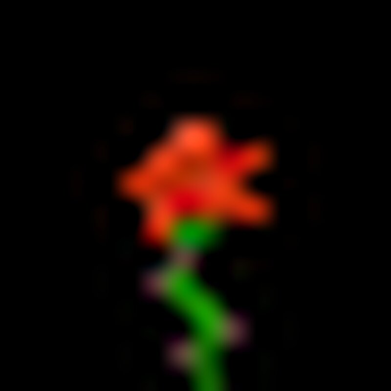 Tulips to Roses (custom colored) Minecraft Texture Pack