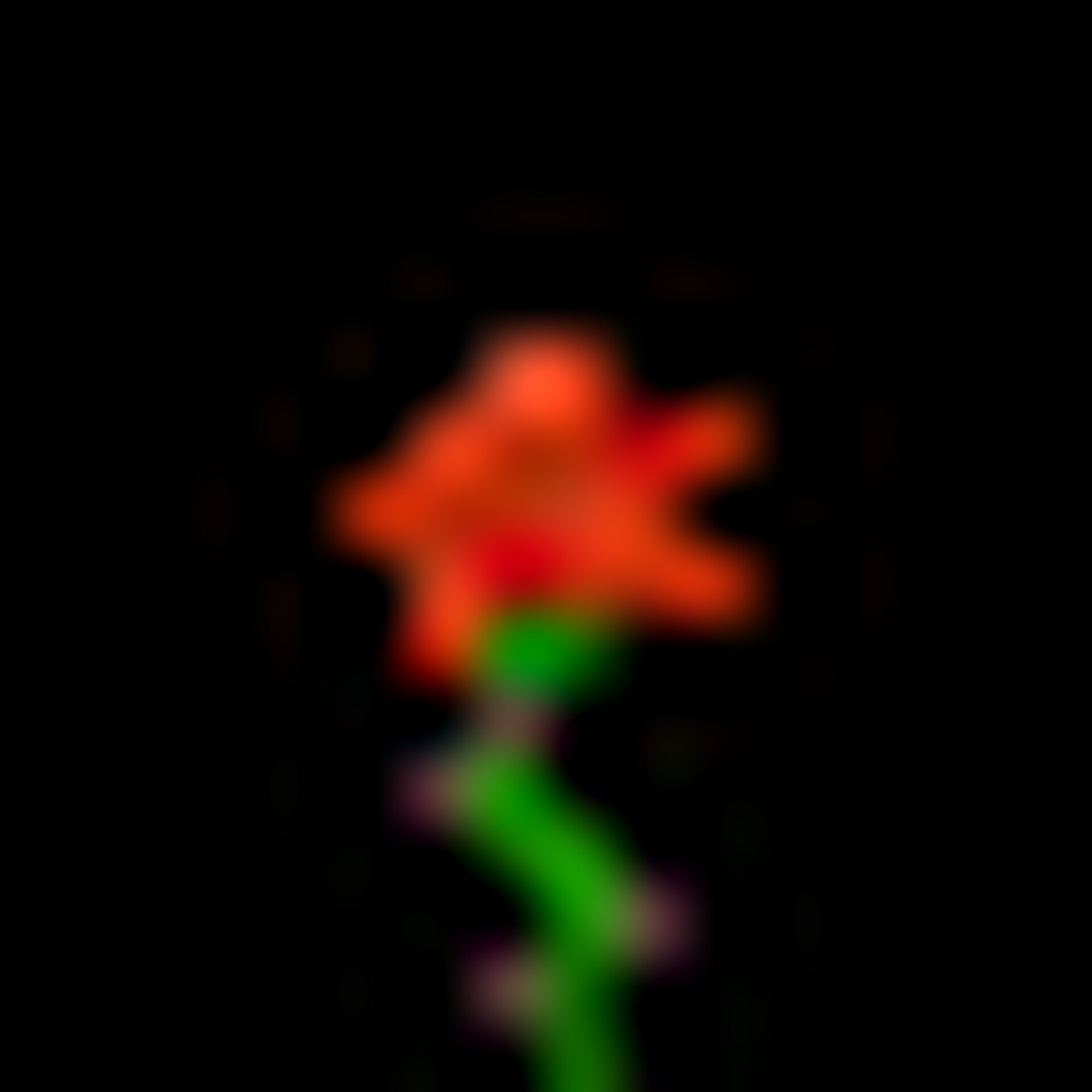 Tulips to Roses (custom colored) Minecraft Texture Pack