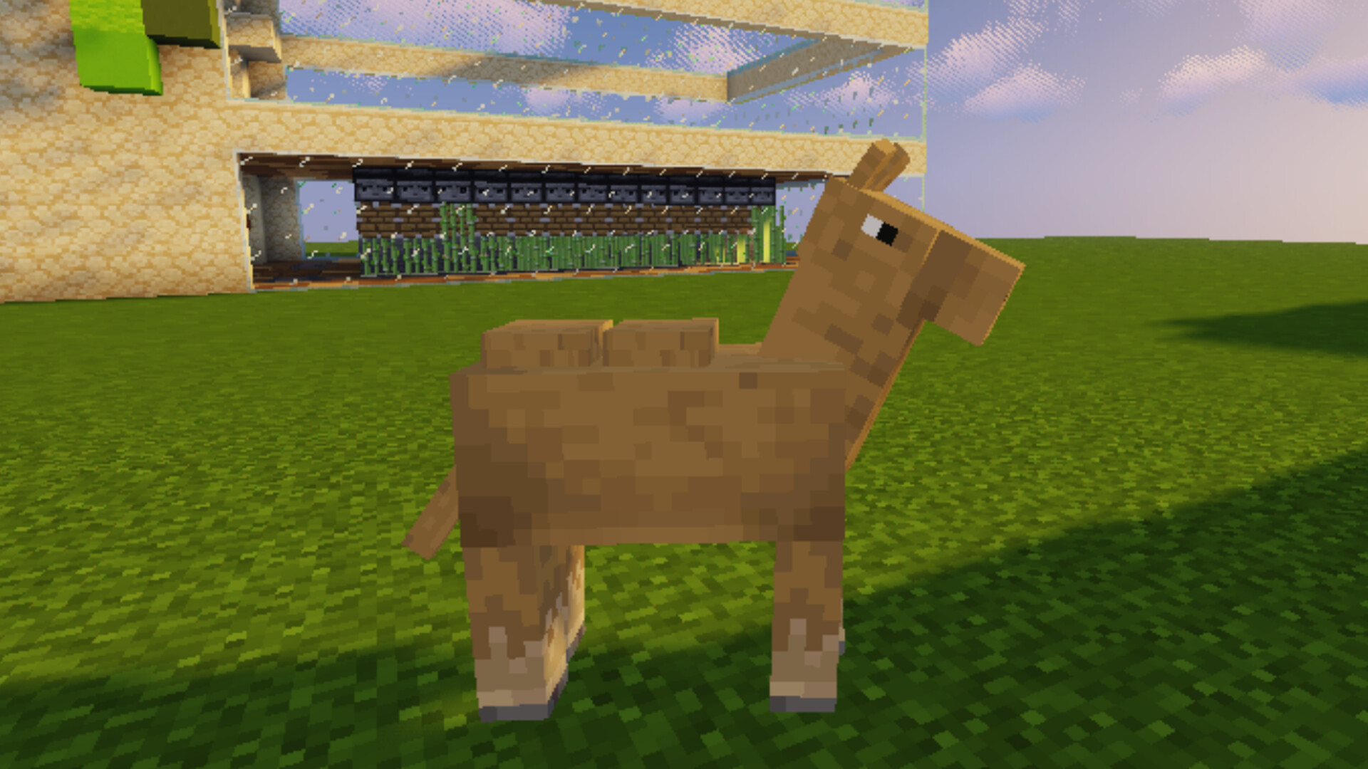 Donkey To Camel Minecraft Texture Pack