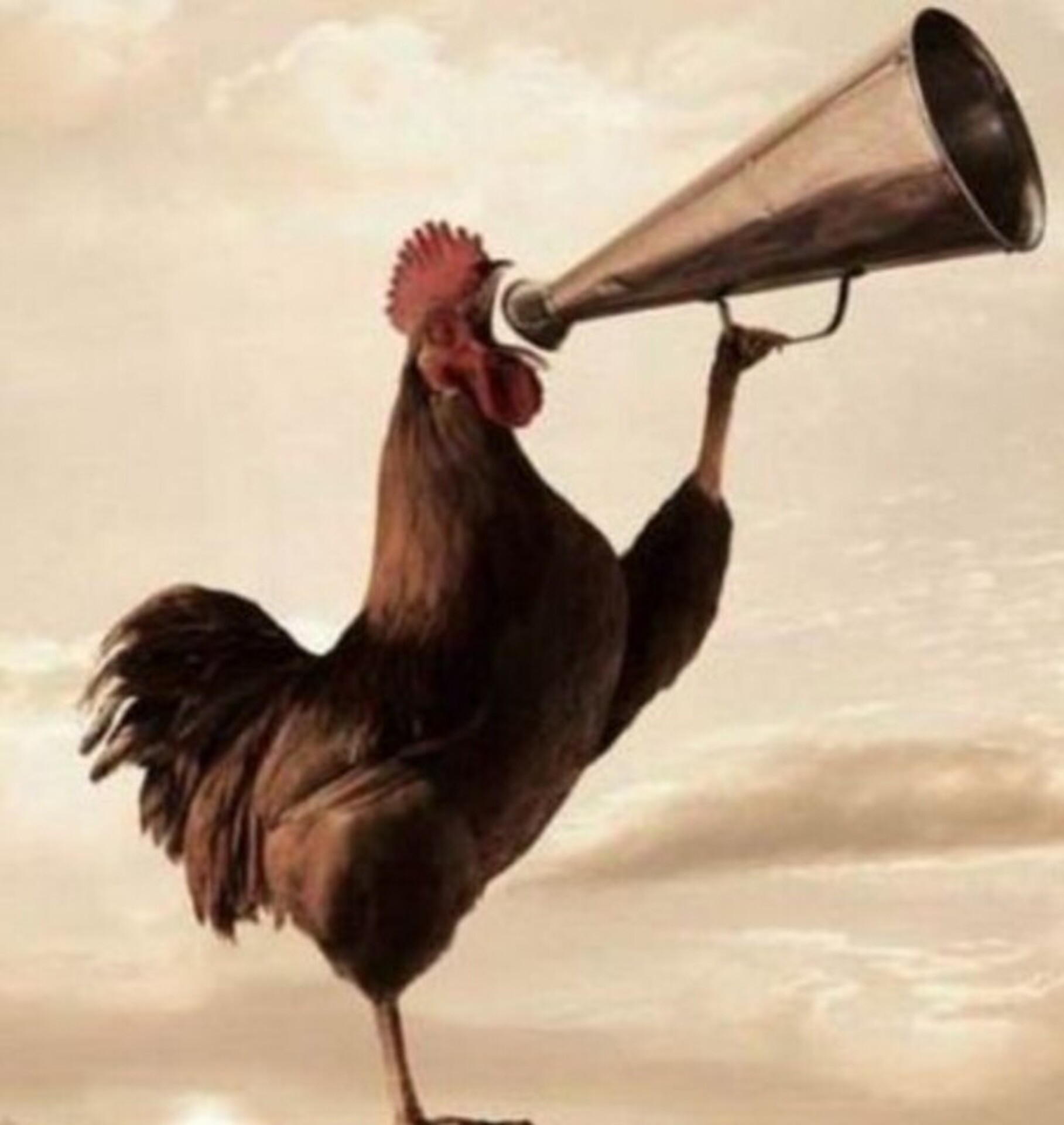 Better raw chicken Minecraft Texture Pack