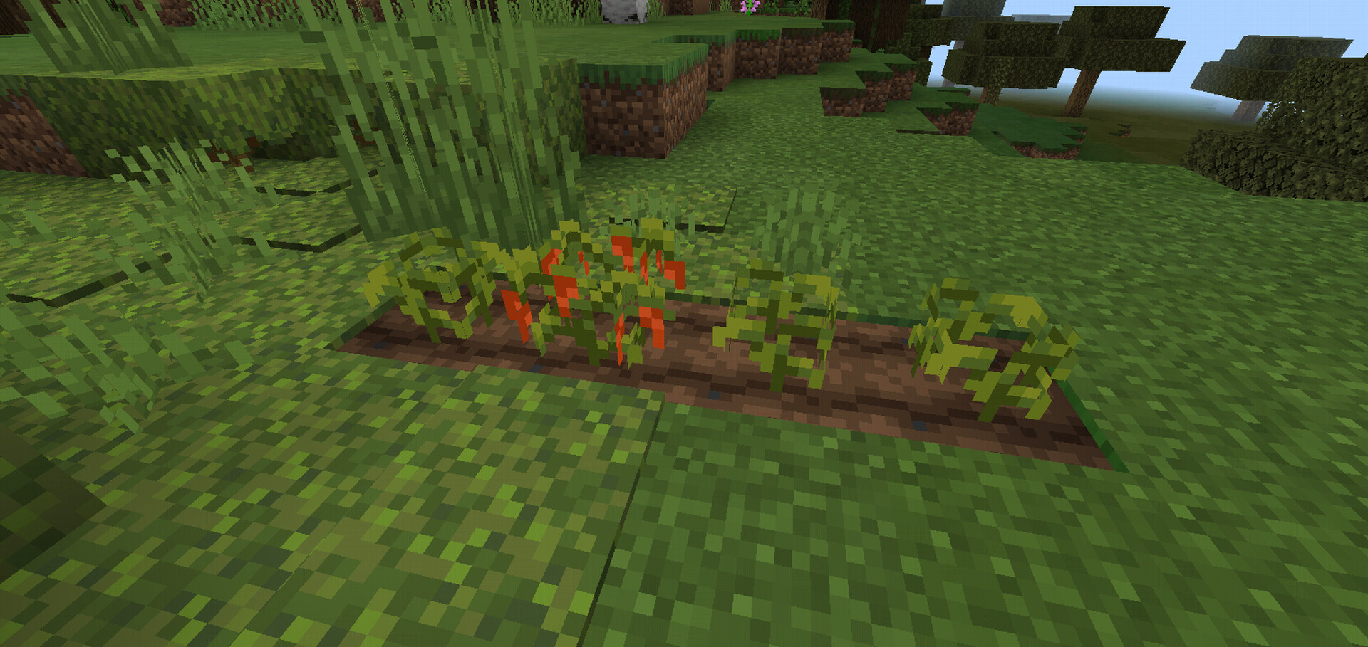 Beetroot to Chili Minecraft Texture Pack