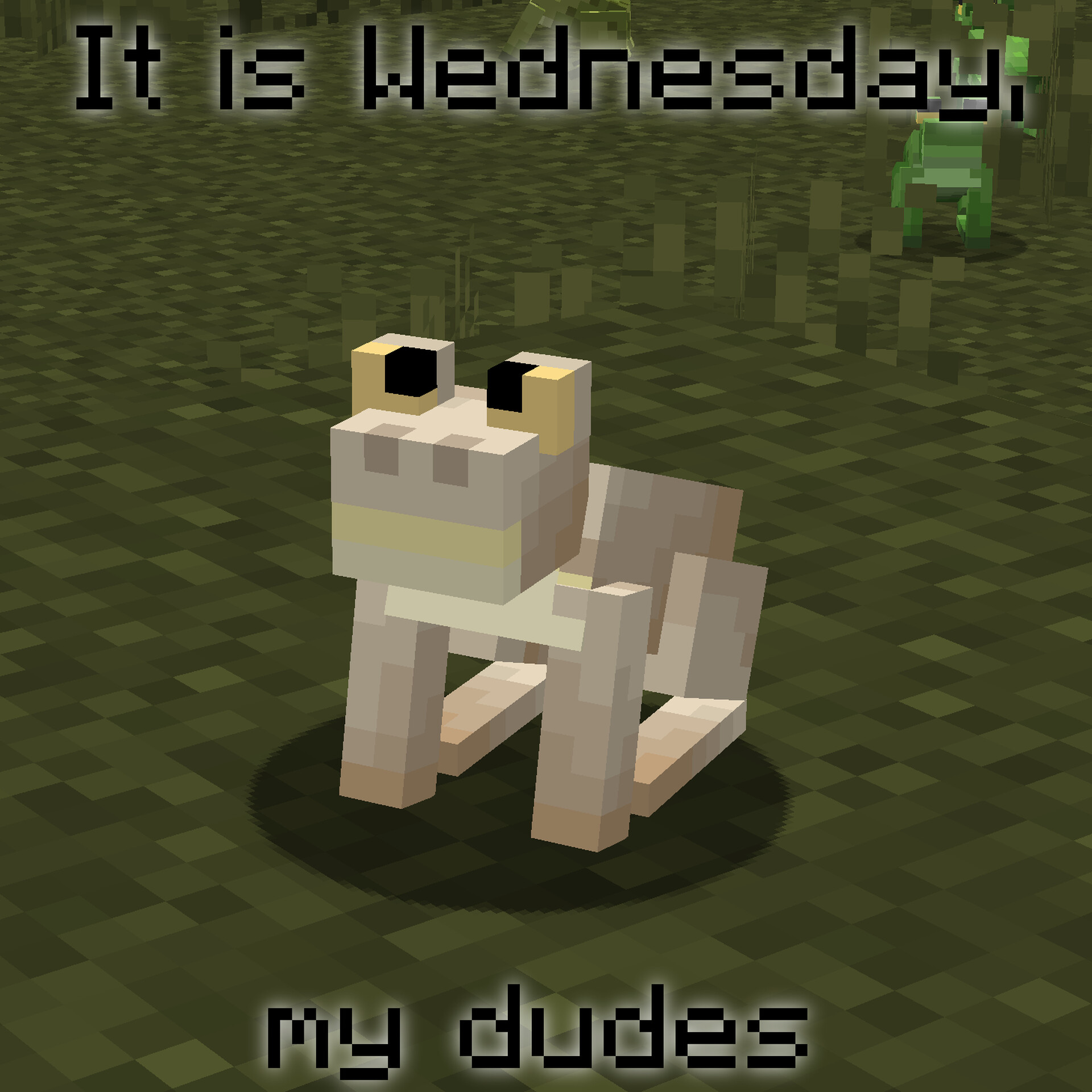 Wednesday Frogges (REQUIRES OPTIFINE) Minecraft Texture Pack
