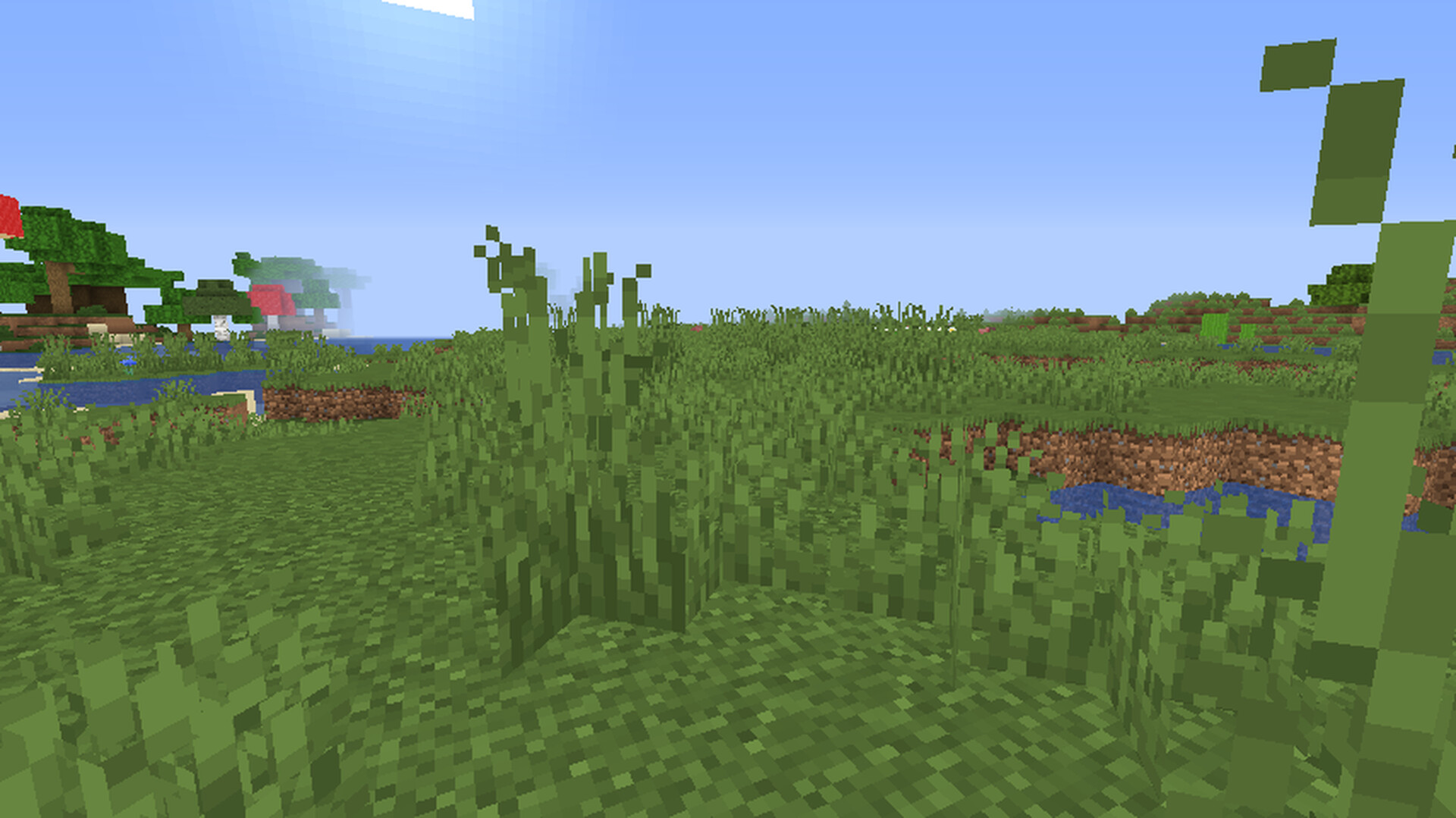 No grass Minecraft Texture Pack