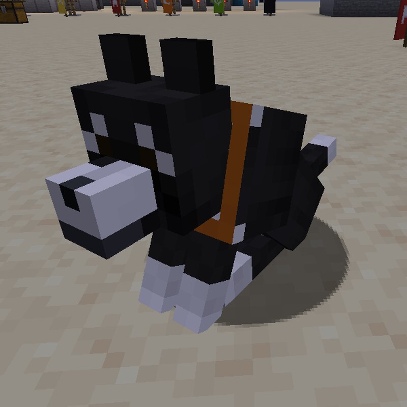 My Dog Debbie Minecraft Texture Pack