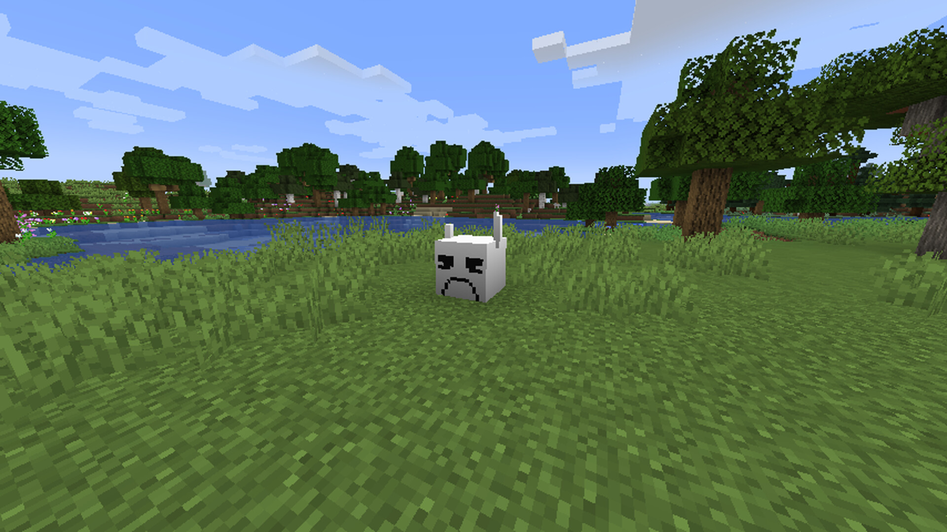 Legendary Zote block! Minecraft Texture Pack