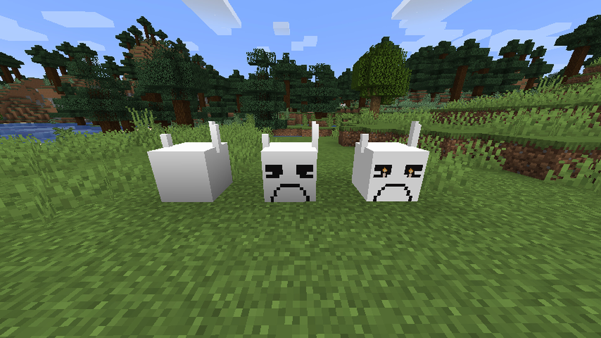 Legendary Zote block! Minecraft Texture Pack