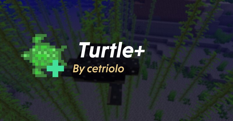 Turtle+ Minecraft Texture Pack