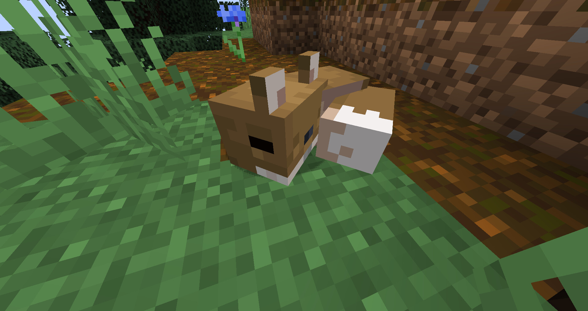 Squirrel and Acorn Minecraft Texture Pack