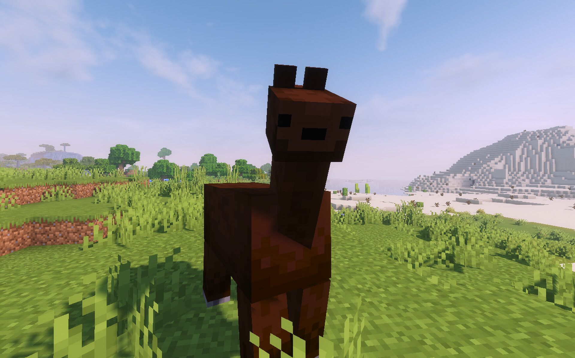 Funny Pack (1.16+) Minecraft Texture Pack