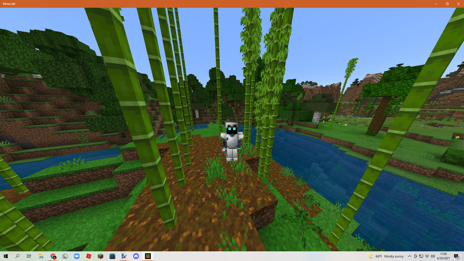 Killer Bee Minecraft Texture Pack