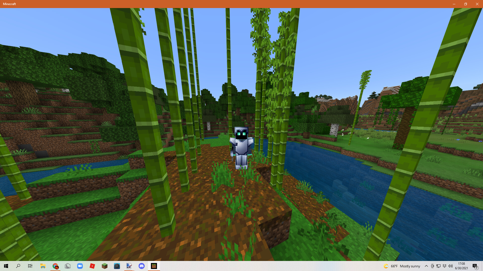 Killer Bee Minecraft Texture Pack