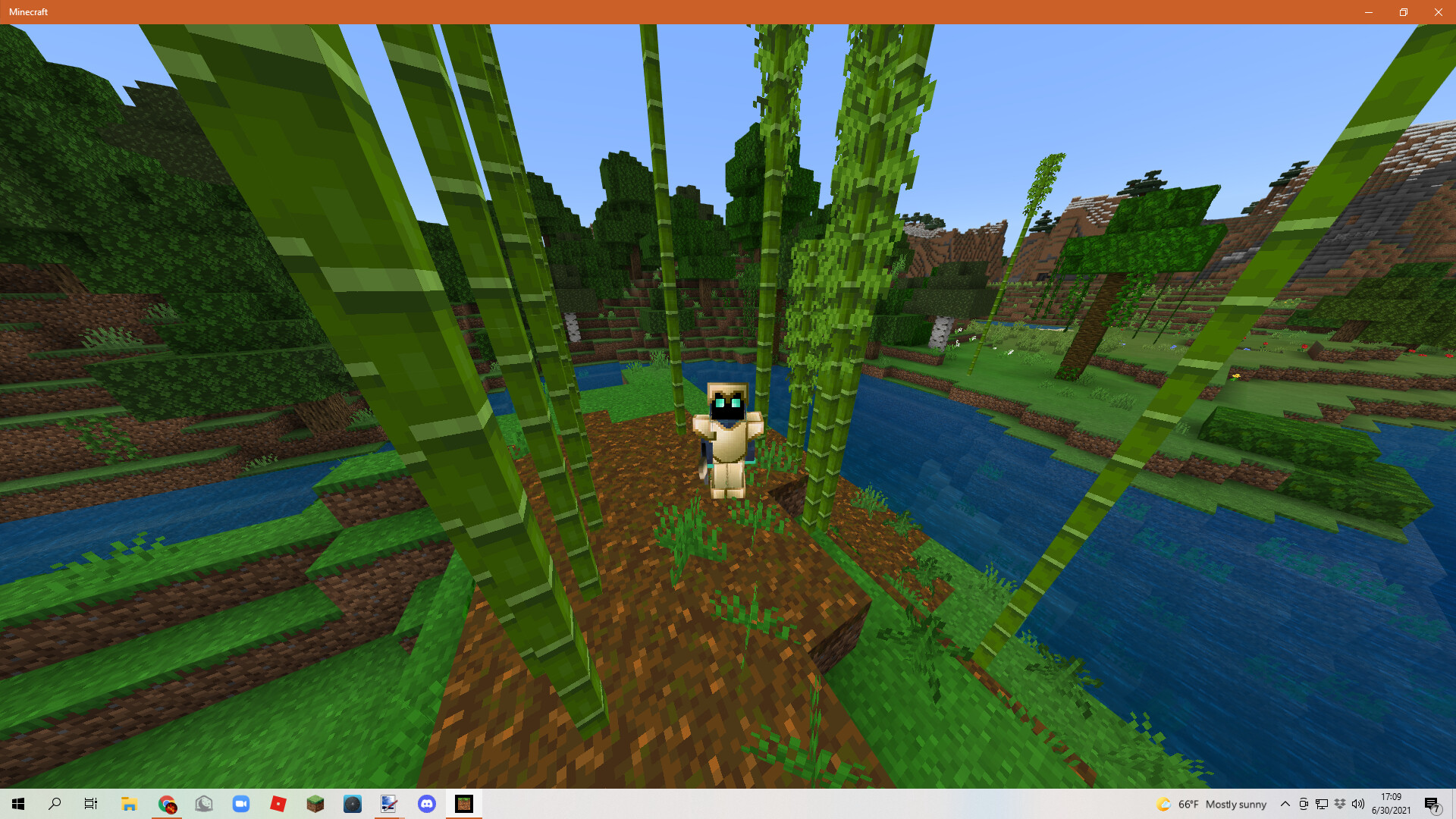 Killer Bee Minecraft Texture Pack