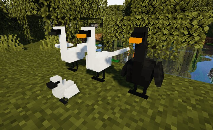 Swans Minecraft Texture Pack