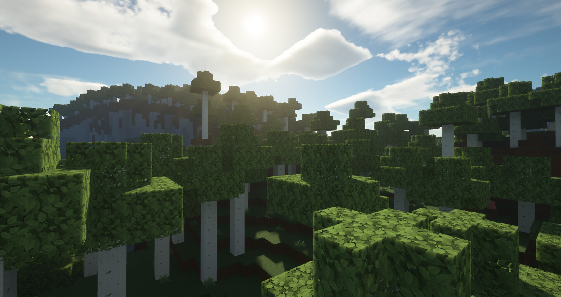 Niel resourcepack 2.0 FREE Minecraft Texture Pack