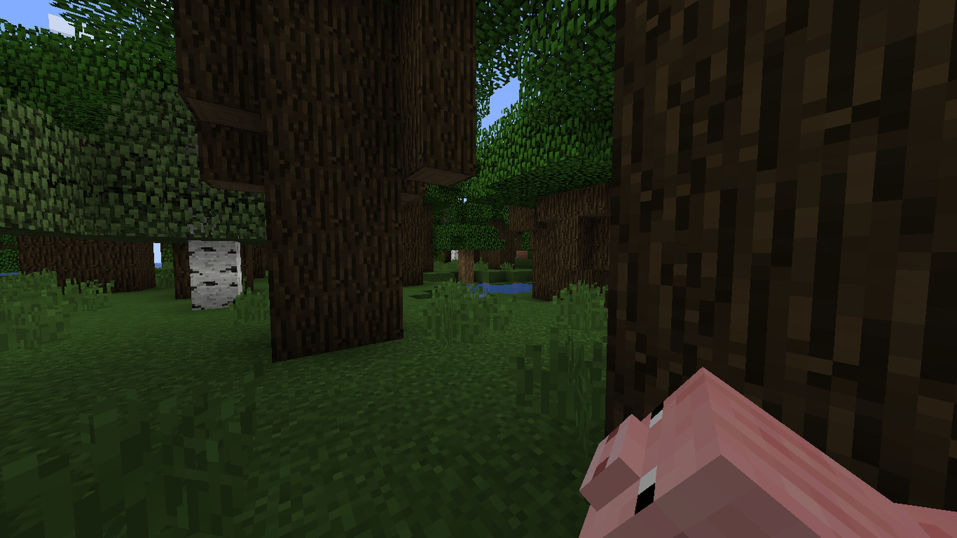 Camo armor Minecraft Texture Pack