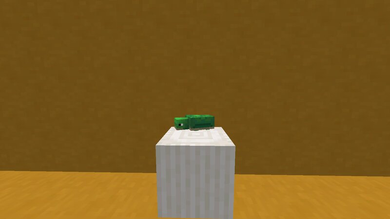 Aesthics turtle hat Minecraft Texture Pack