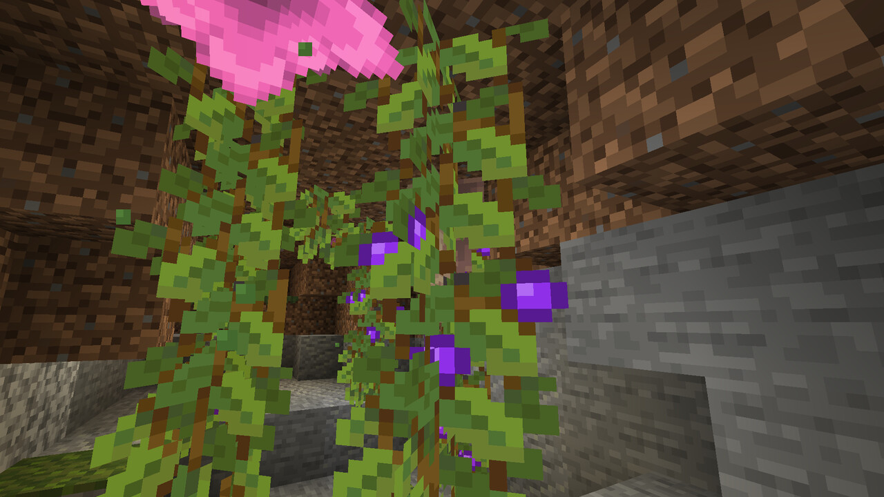 Cherry Berries 1.17 Minecraft Texture Pack