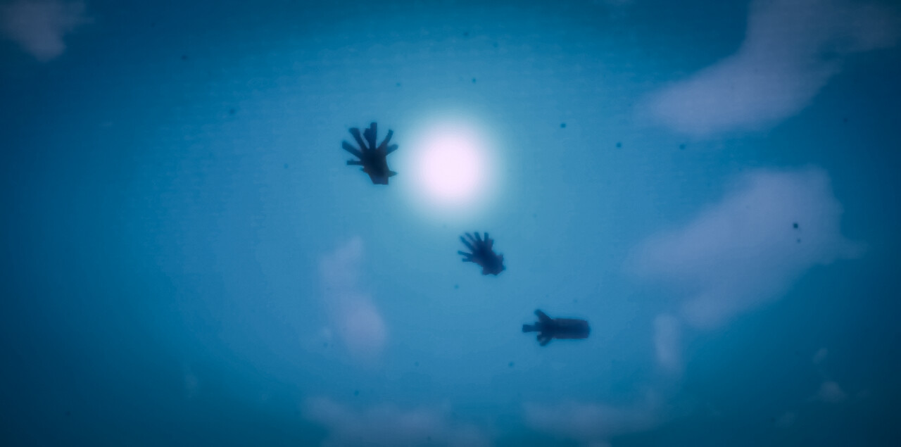 Improved Squid Models [SUDDLETY] Minecraft Texture Pack