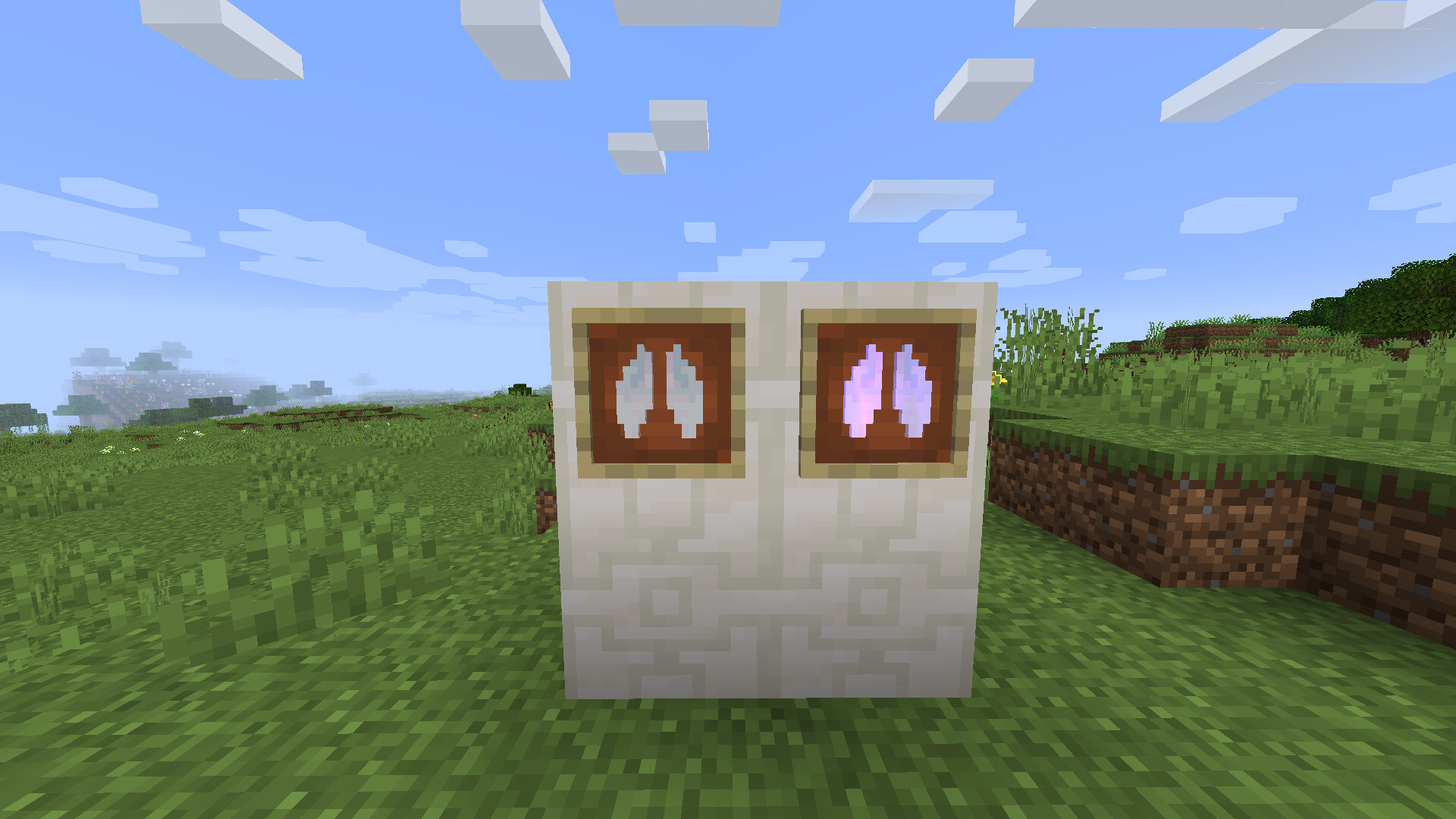 Custom elytra texture pack! (latest version) Minecraft Texture Pack