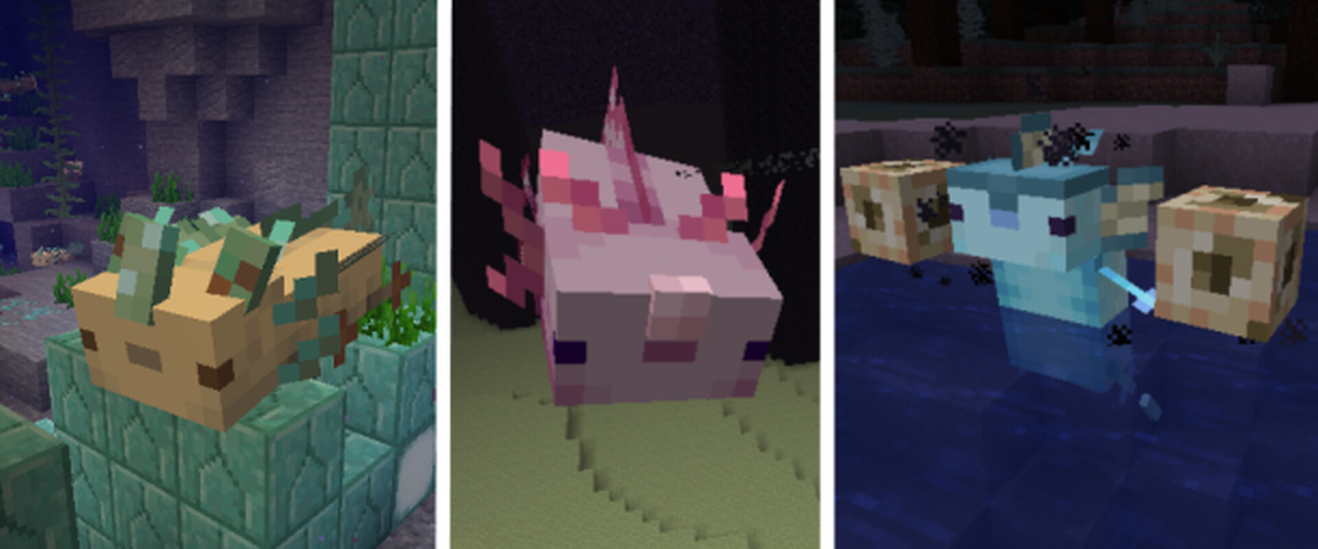 strange axolotls Minecraft Texture Pack