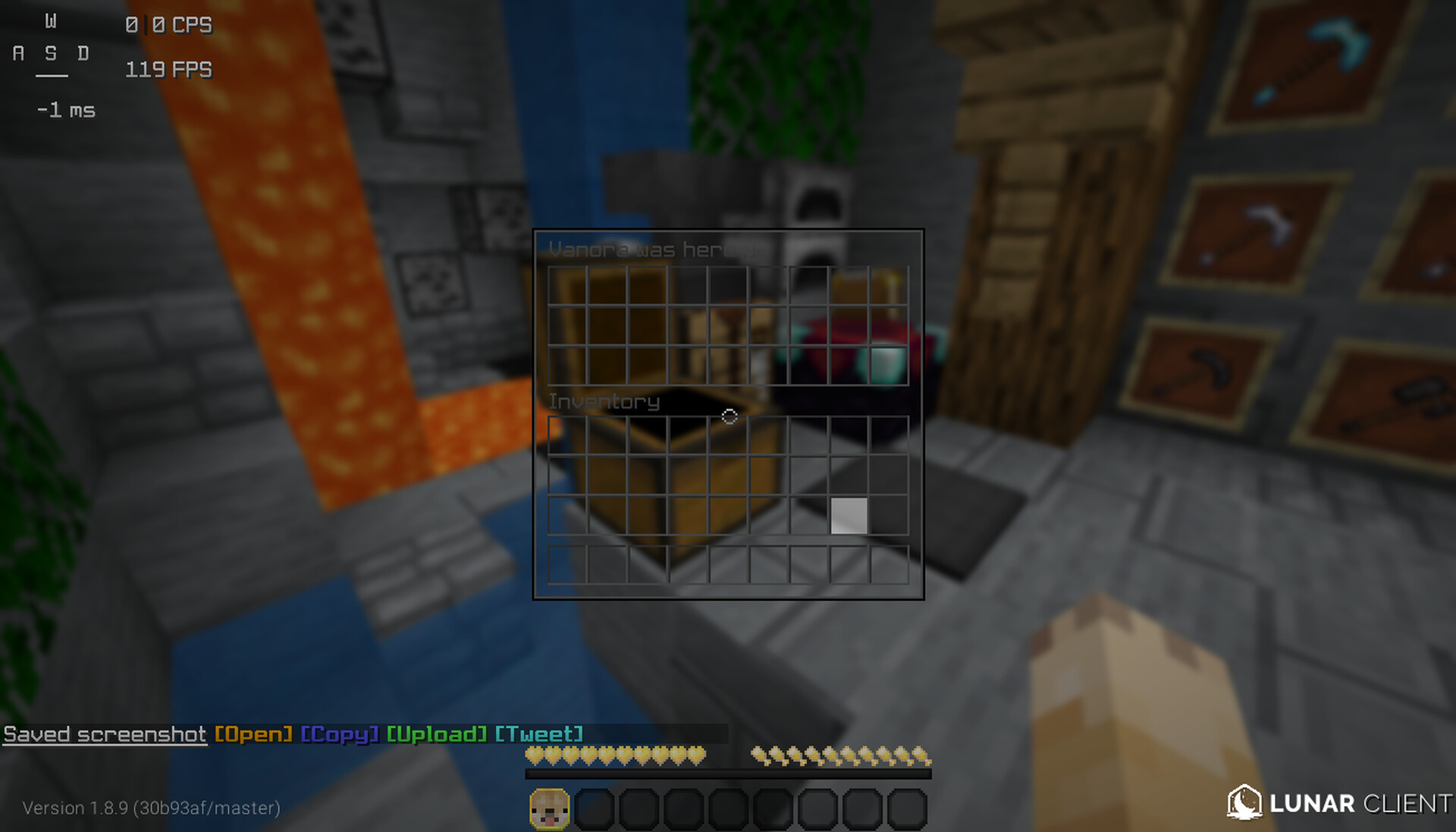 Doggo pack Minecraft Texture Pack