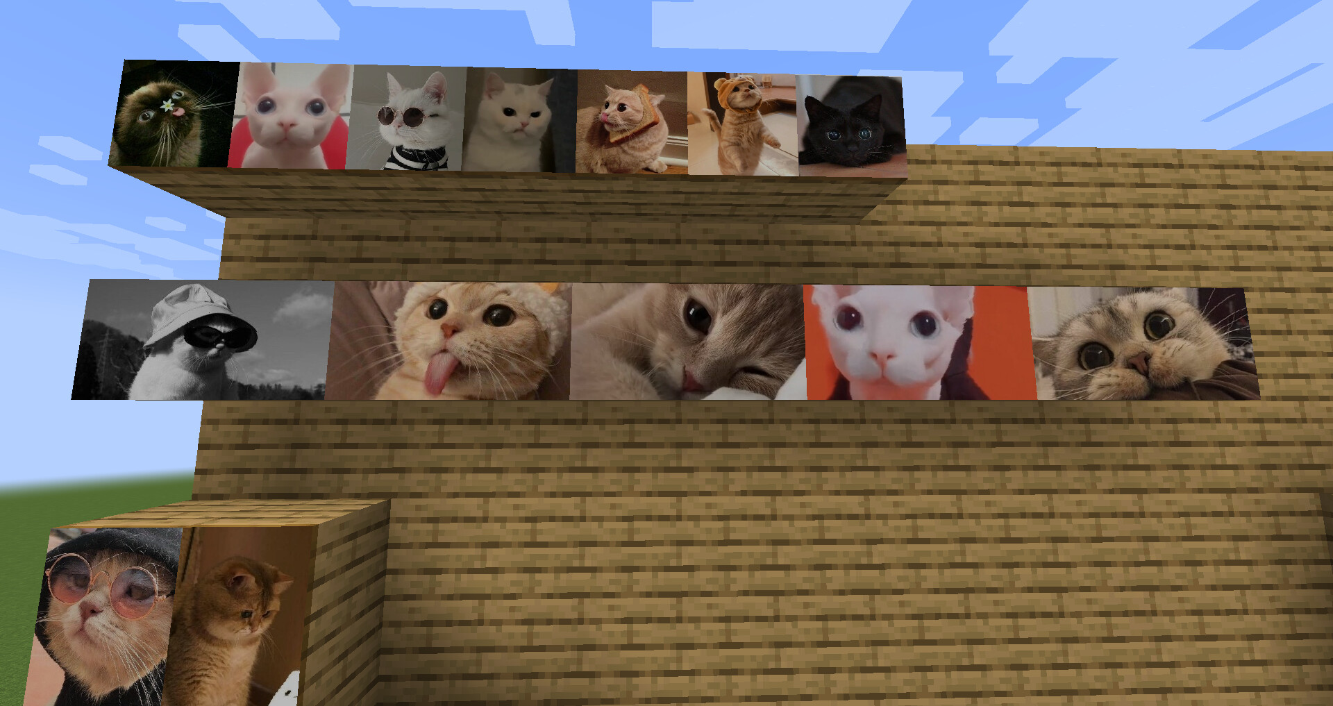 Cat Paintings Minecraft Texture Pack