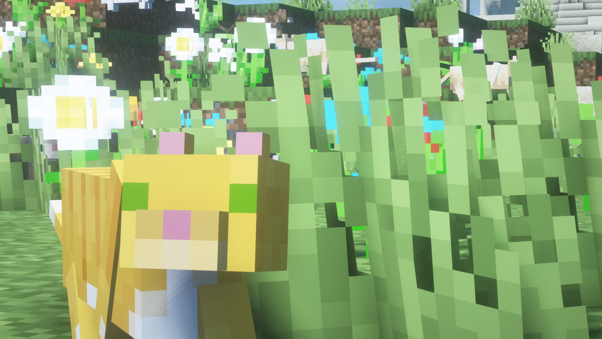 cute fluff balls Minecraft Texture Pack