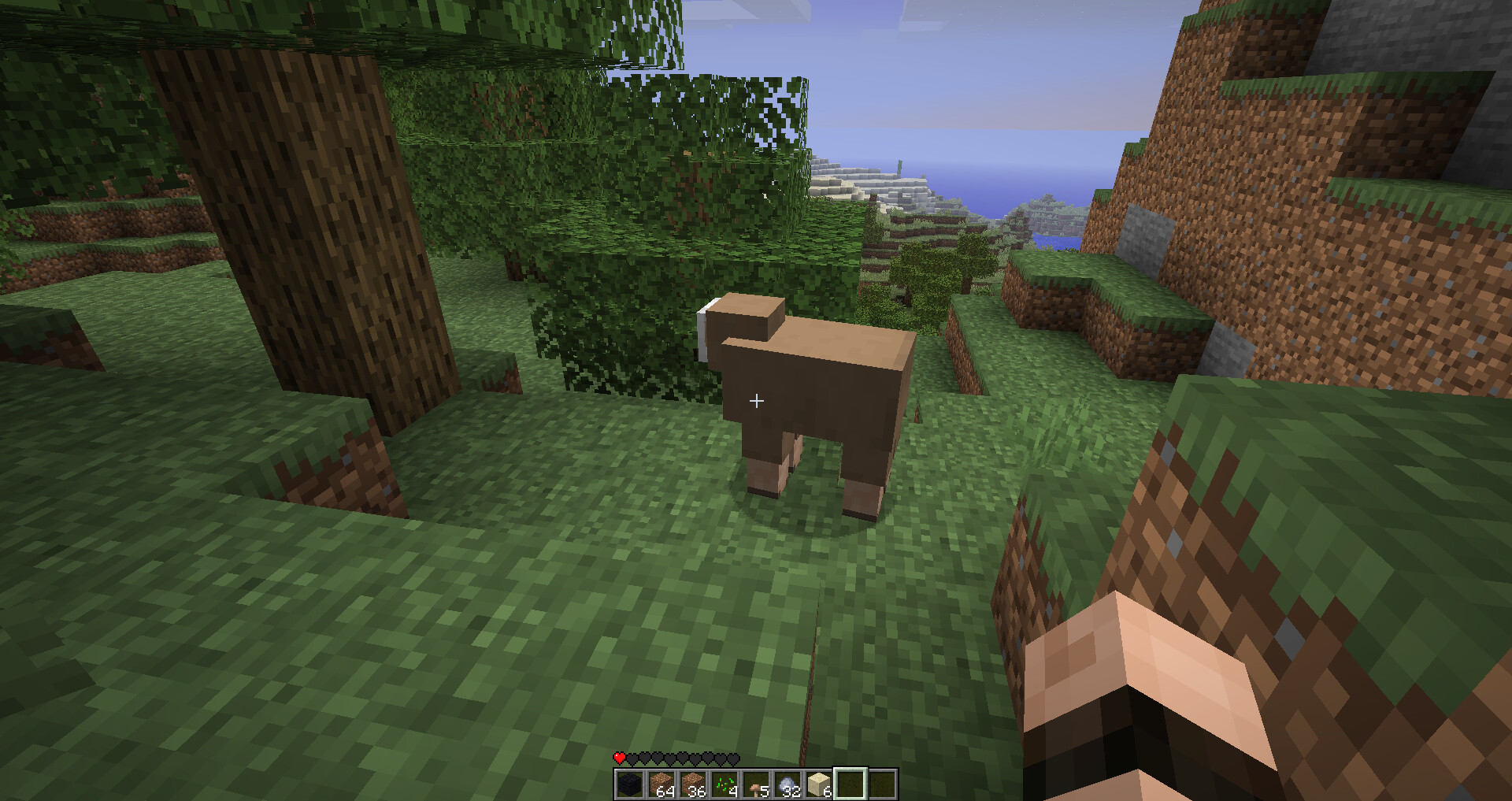 Release to Beta Minecraft Texture Pack