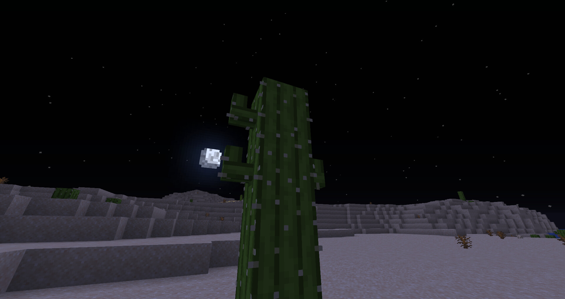 Chameleon Minecraft Texture Pack