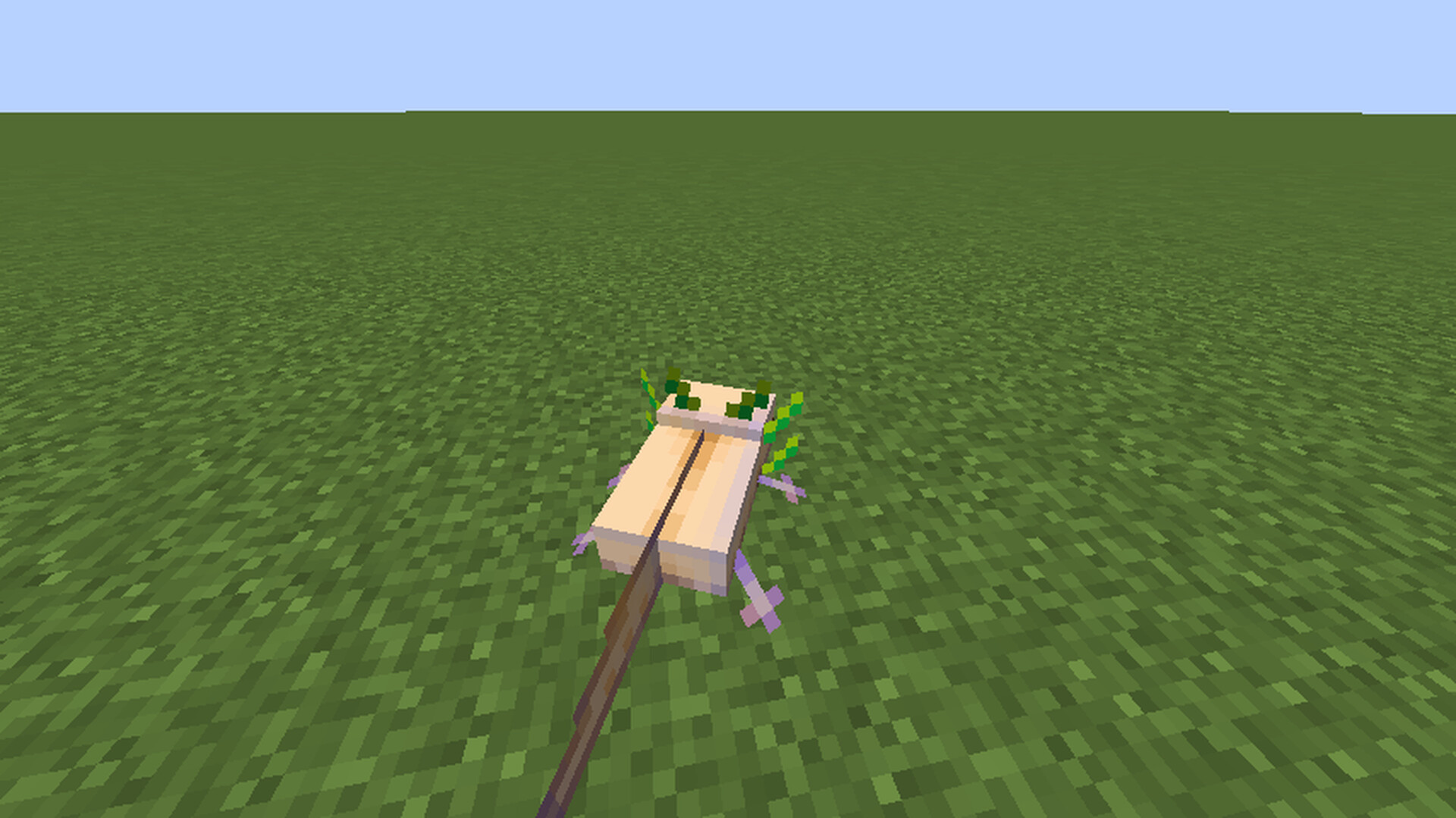 New Axolotl Colors Minecraft Texture Pack