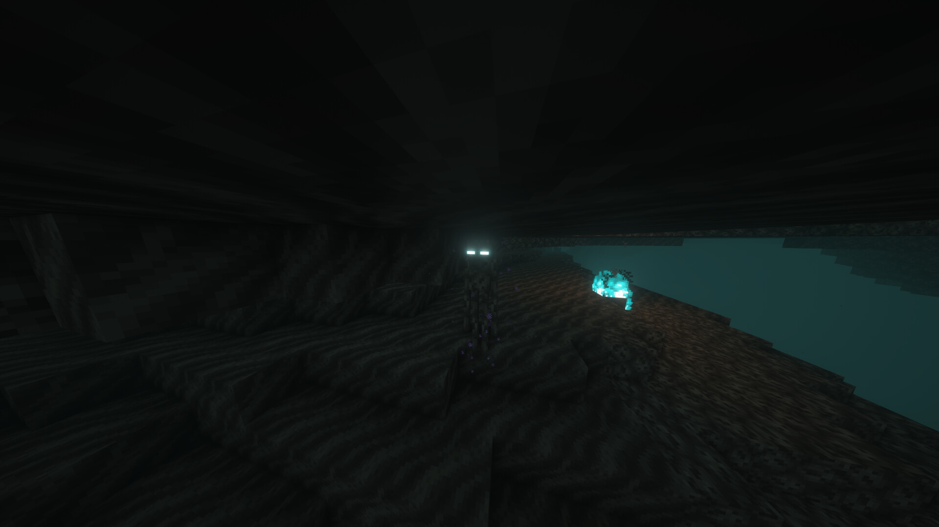 Soul Enderman (Soulderman) Minecraft Texture Pack