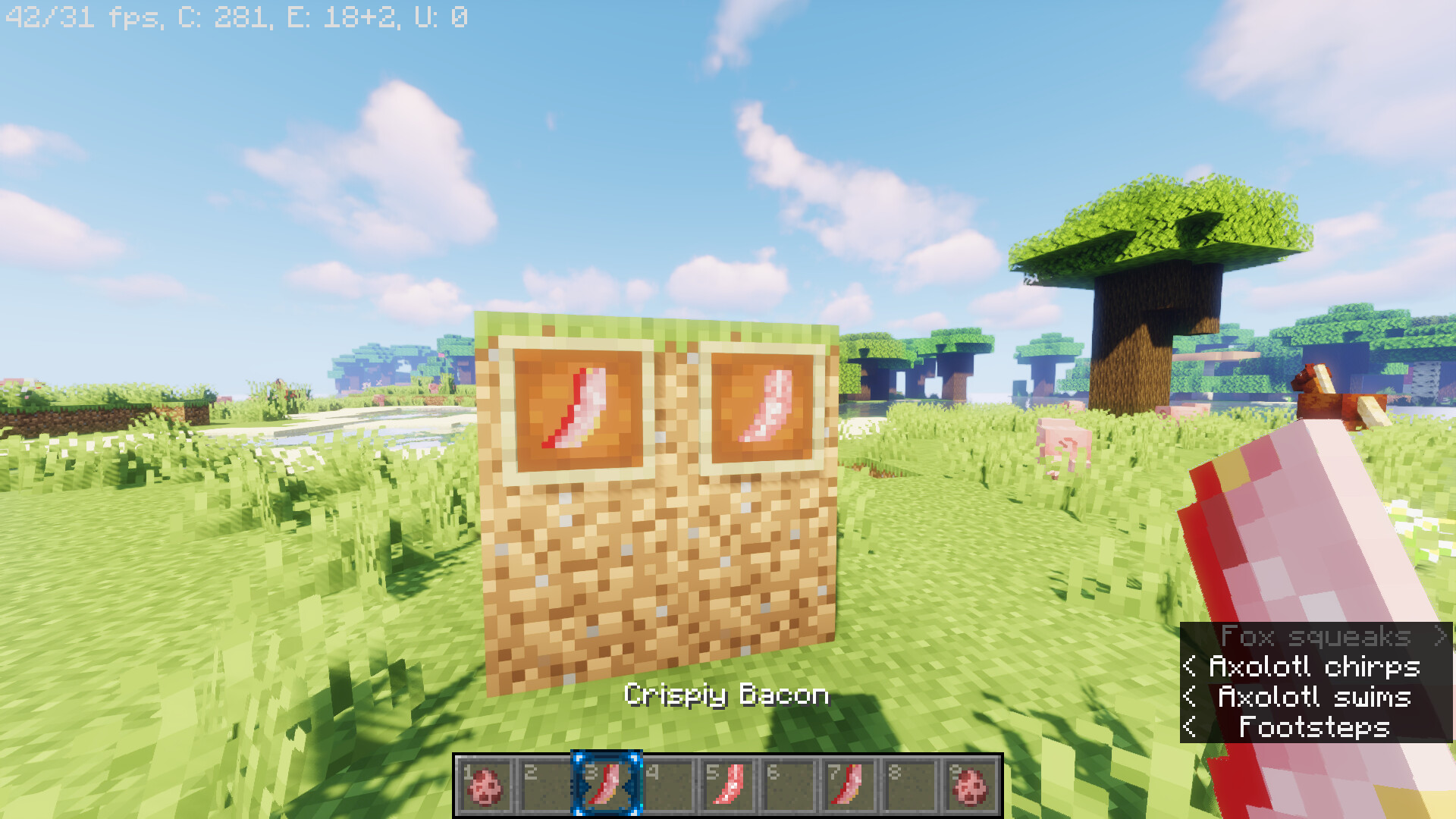 BACON Minecraft Texture Pack