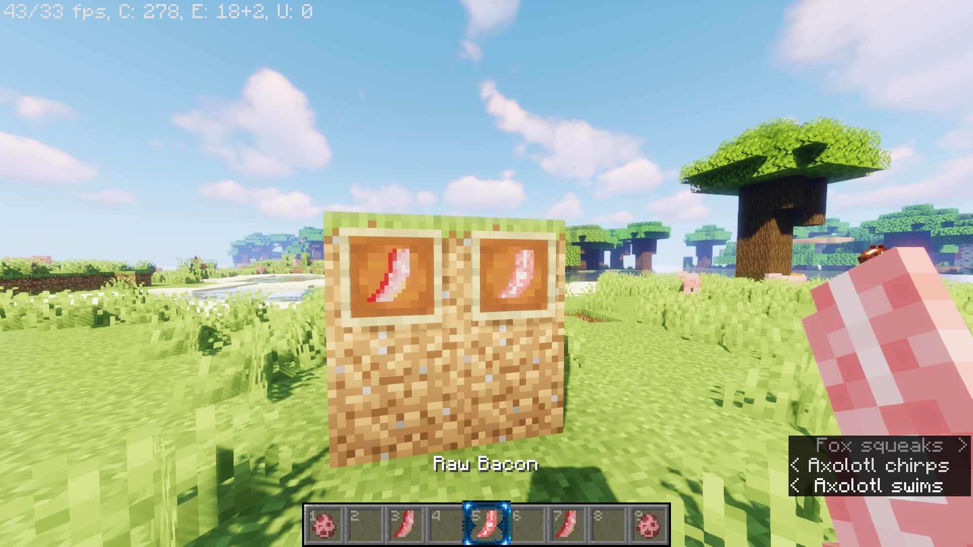 BACON Minecraft Texture Pack