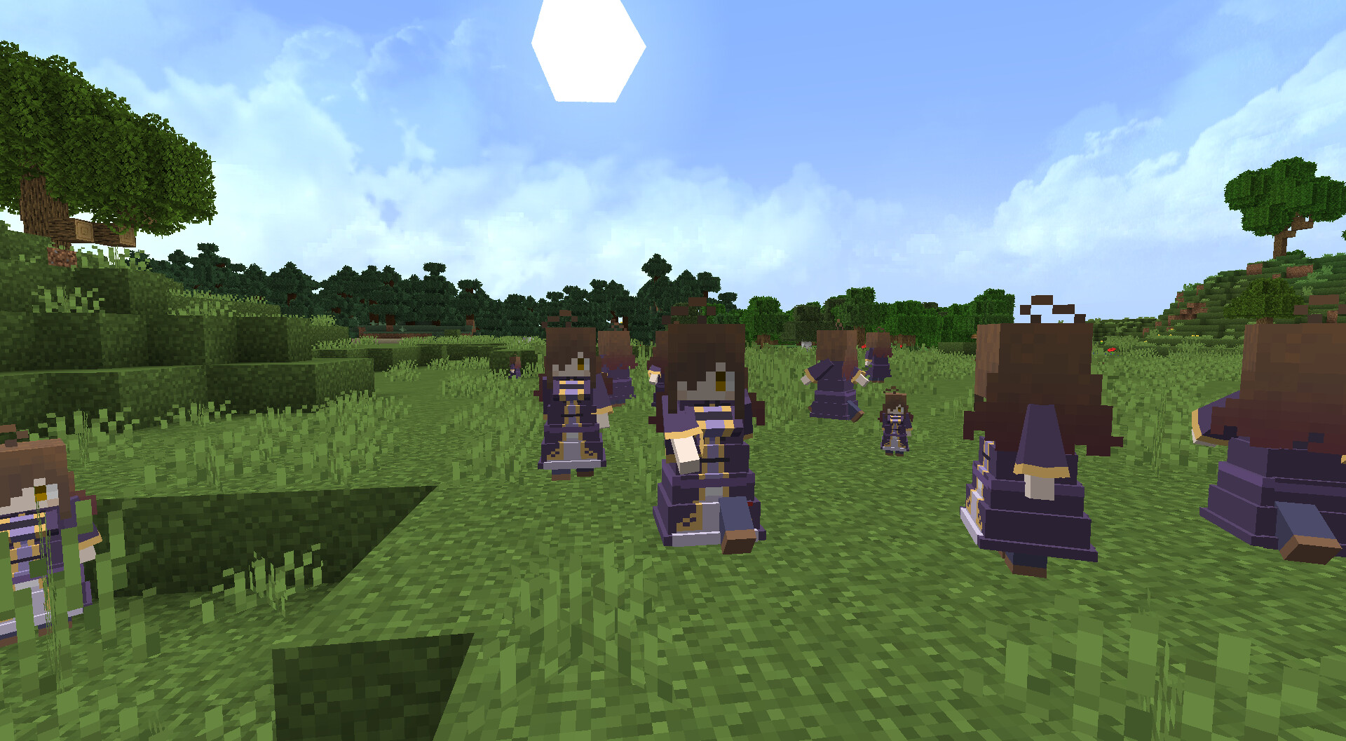 Wiz From Konosuba In Minecraft (Optifine Resource Pack) Minecraft ...